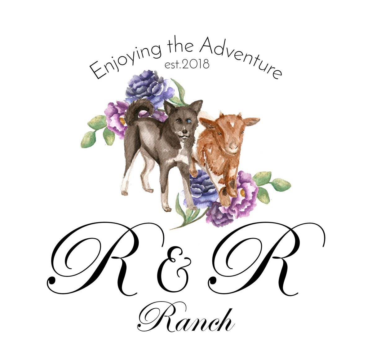 R&R Ranch – enjoying the adventure